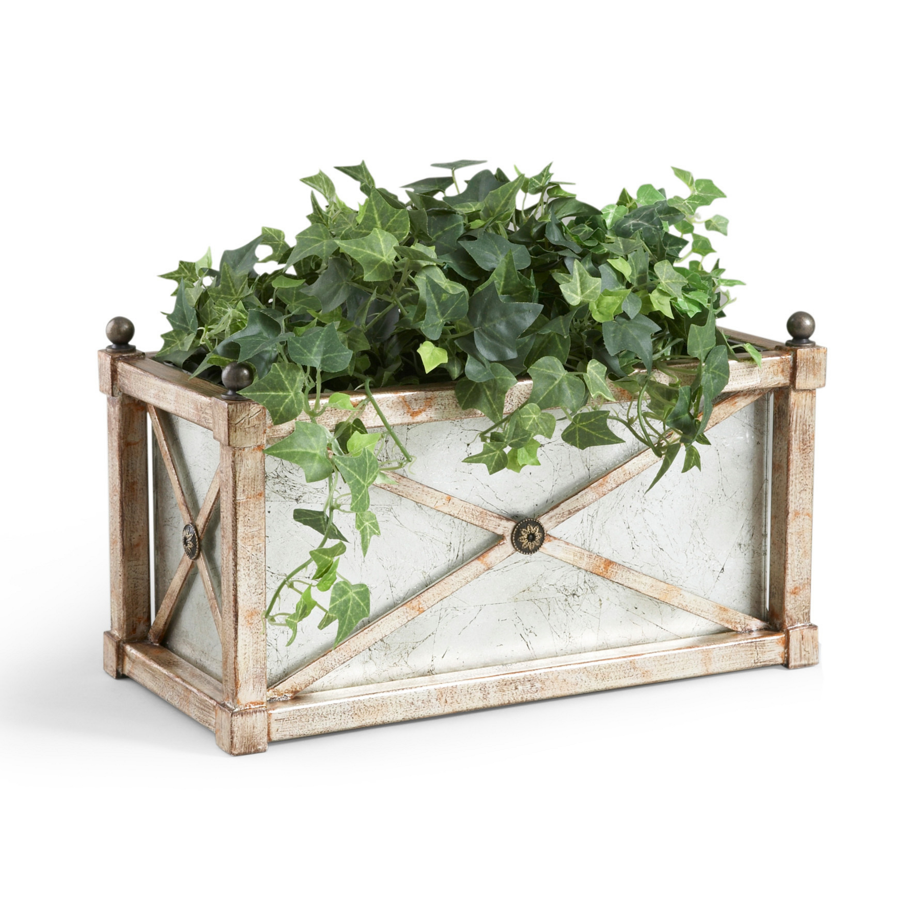 Rectangular Mirror Planter by Chelsea House