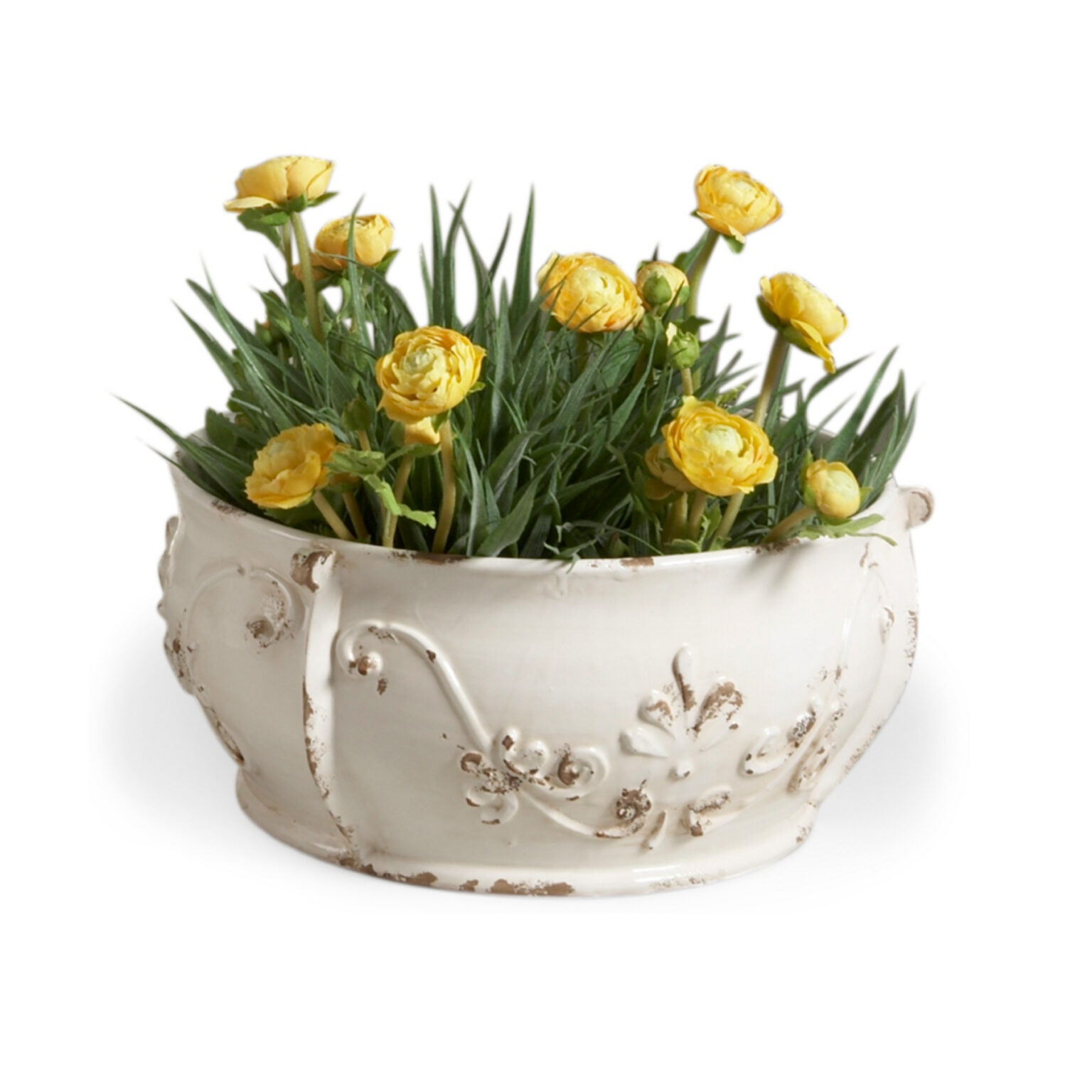 Monaco Ceramic Cachepot by Chelsea House