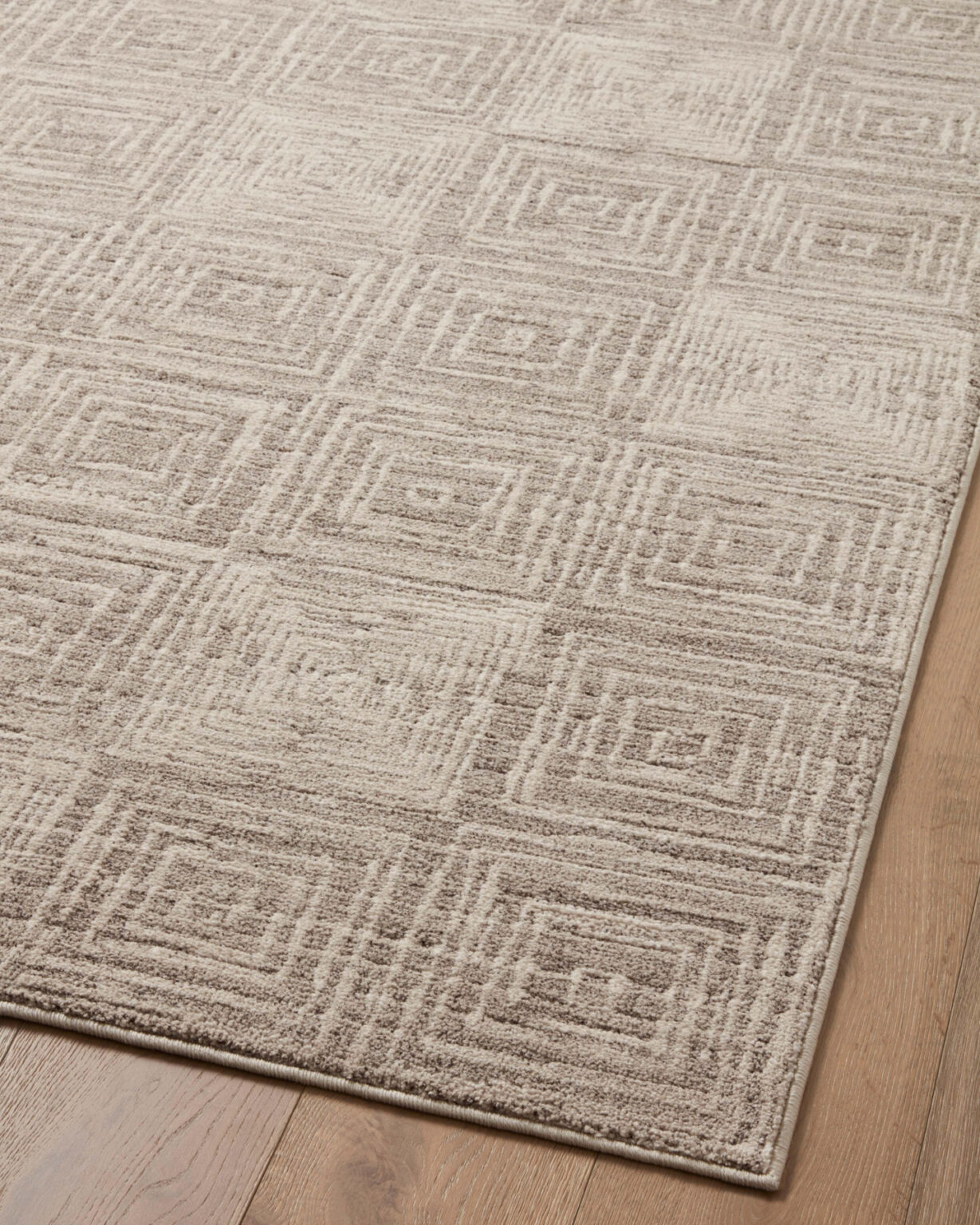 Darby Beige and Grey 4 ft x6 ft Accent Rug by Loloi Rugs